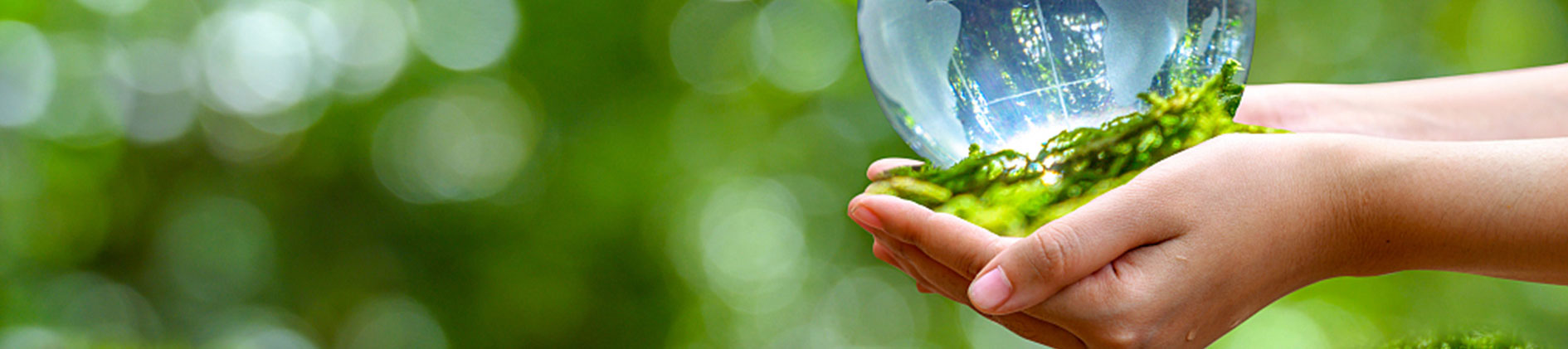 Environmental Governance, Advocacy and Communication - IGAD CAEP