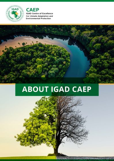 About IGAD Brochure – IGAD CAEP